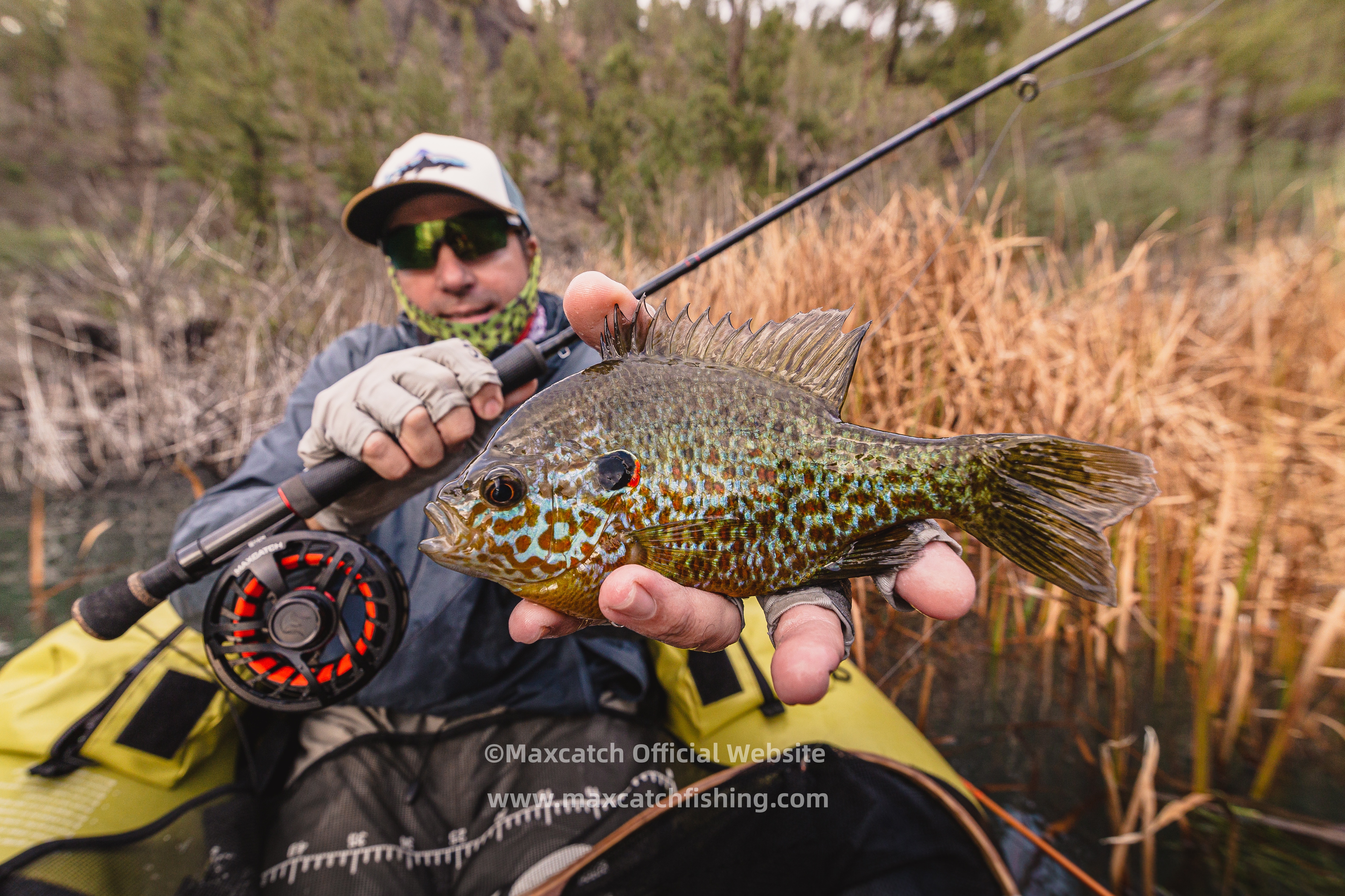 ADVANCE Fast Fly Fishing Rod