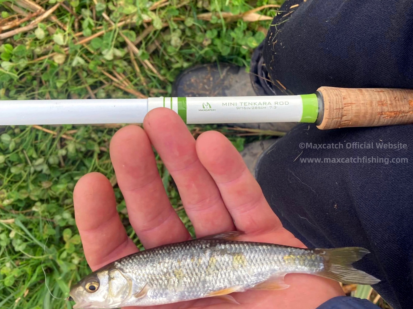 Mini Tenkara